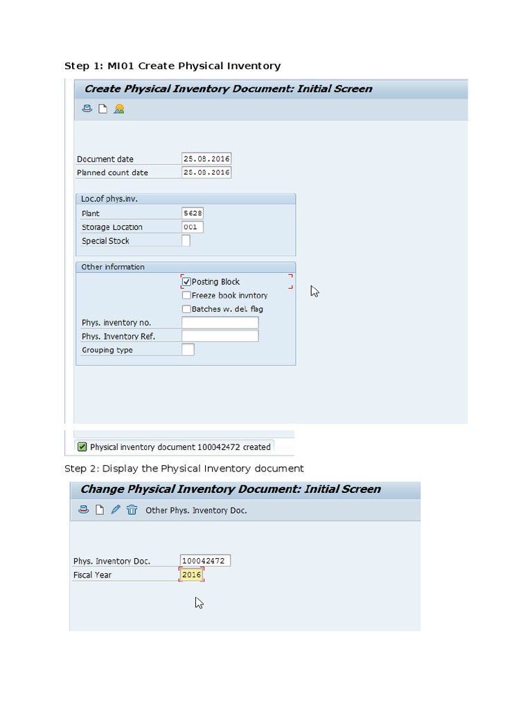 Step 1: MI01 Create Physical Inventory | PDF