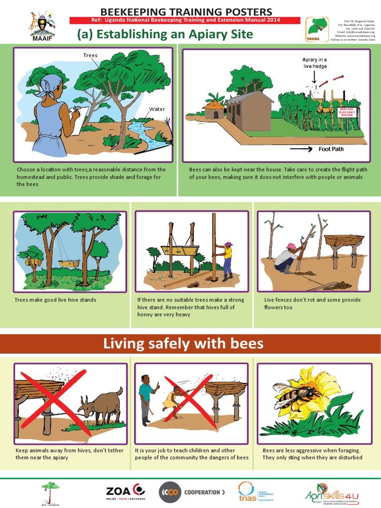 Beekeeping Training Posters 2015 English | PDF | Beehive | Beekeeping