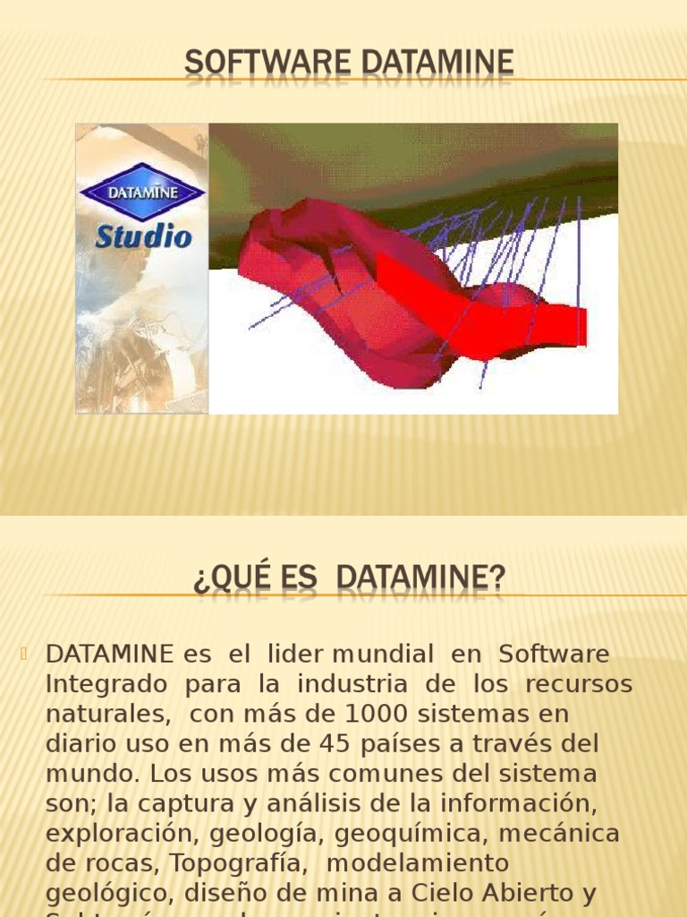 DATAMINE | PDF | Minería | Planificación
