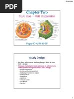 Amoeba Sisters - Intro To Cells Recap | PDF | Cell (Biology ...