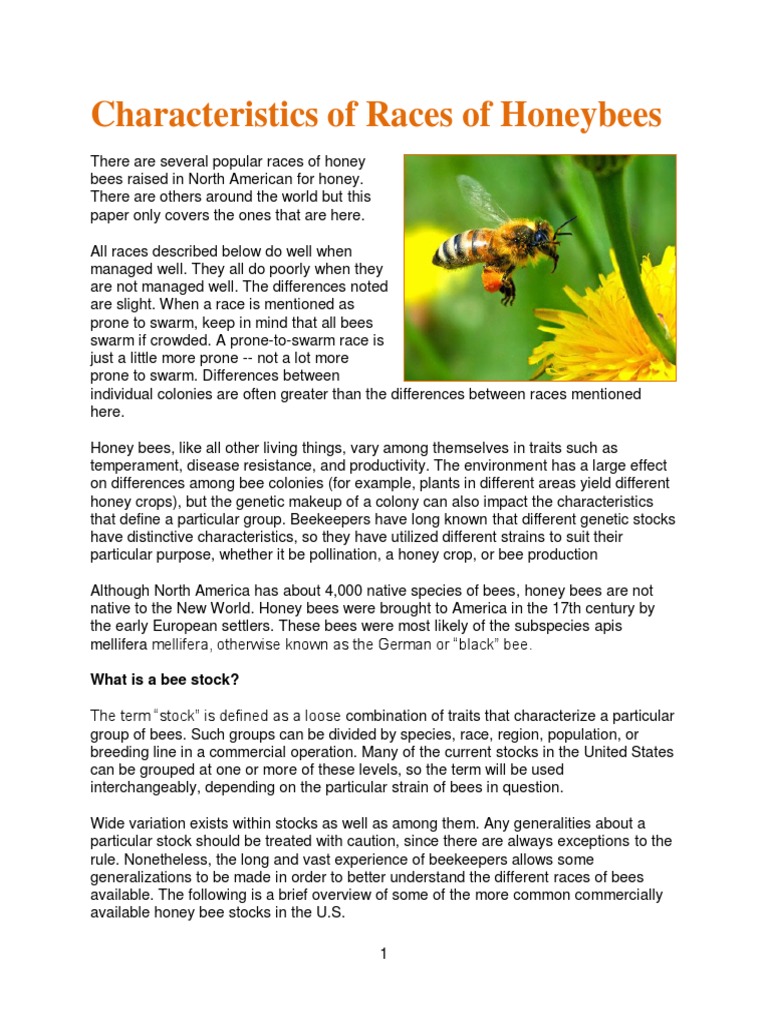Races of Honey Bees 01 | Honey Bee | Beekeeping