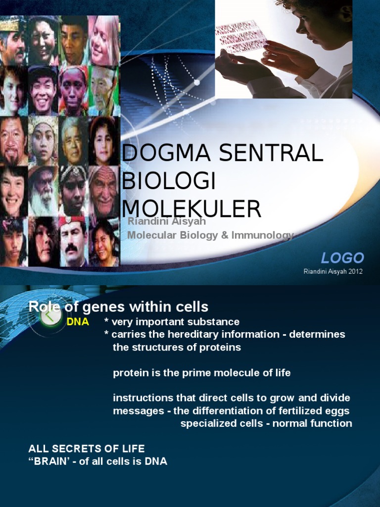 Dogma Sentral Biologi Molekuler: Riandini Aisyah Molecular Biology ...