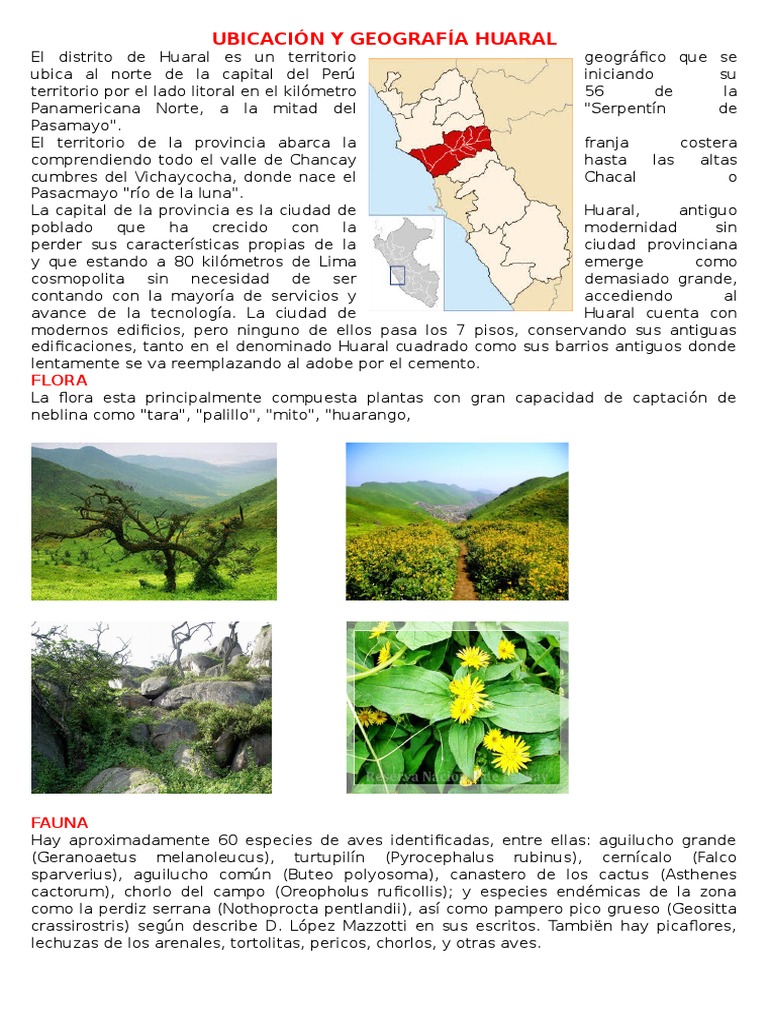 Ubicación y Geografía Huaral | PDF
