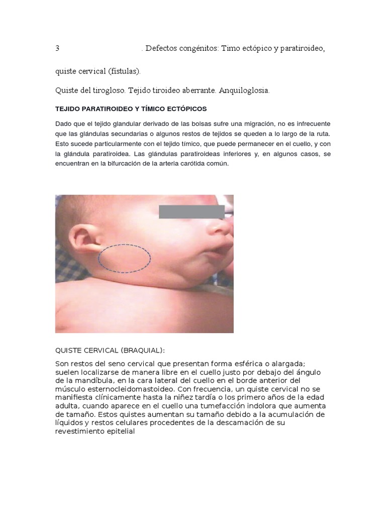 Defectos Congénitos en el Cuello: Guía Completa | PDF | Tiroides | Anatomía