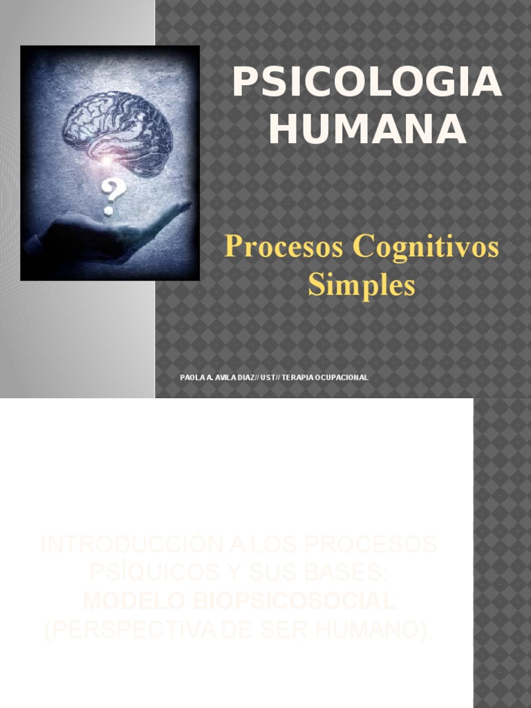 Procesos Cognitivos Pdf Percepción Memoria