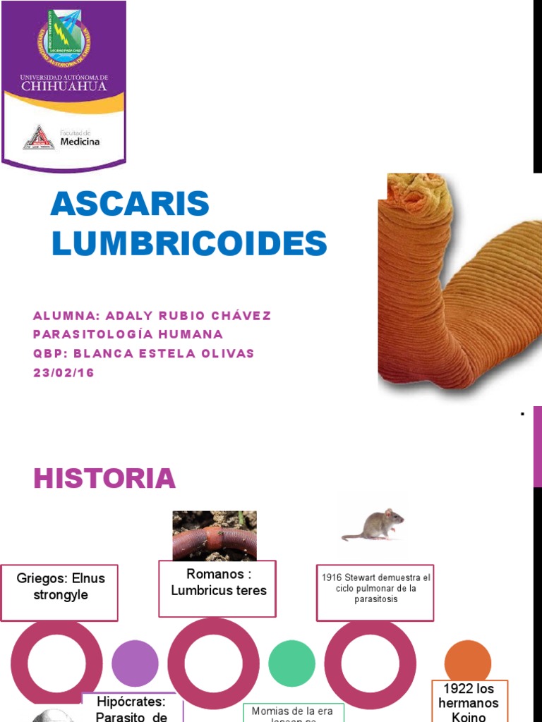 Ascariasis | PDF | Medicina | Enfermedades y trastornos