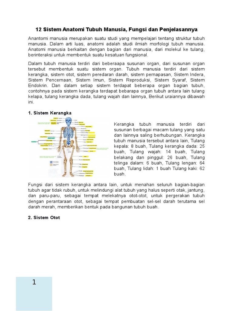 Sistem Anatomi Tubuh Manusia Lengkap | PDF