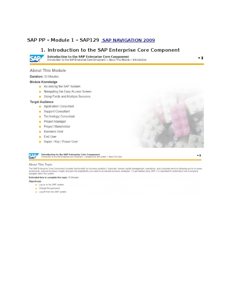 01 - Sap 129 - Sap Navigation | Download Free PDF | Icon (Computing) | Menu (Computing)