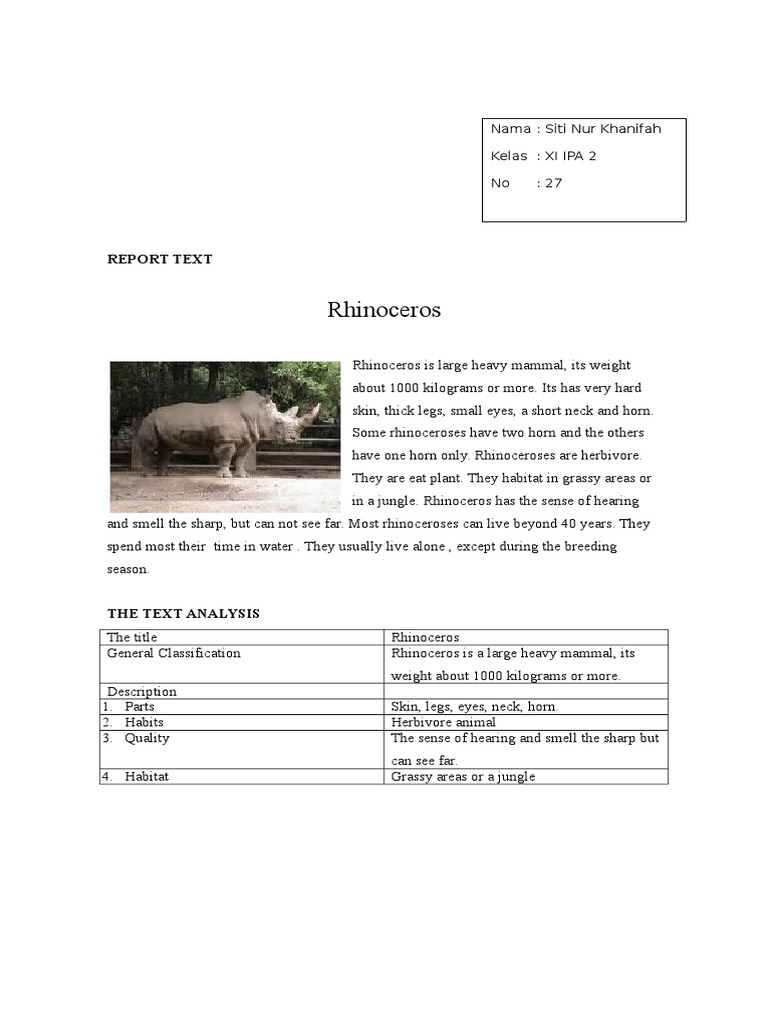Rhinoceros: Report Text | PDF