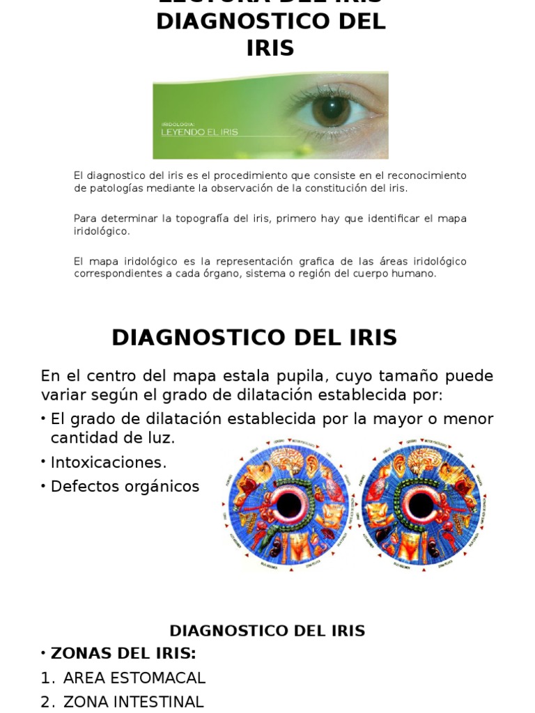Mapa Iridológico y Diagnóstico del Iris | PDF