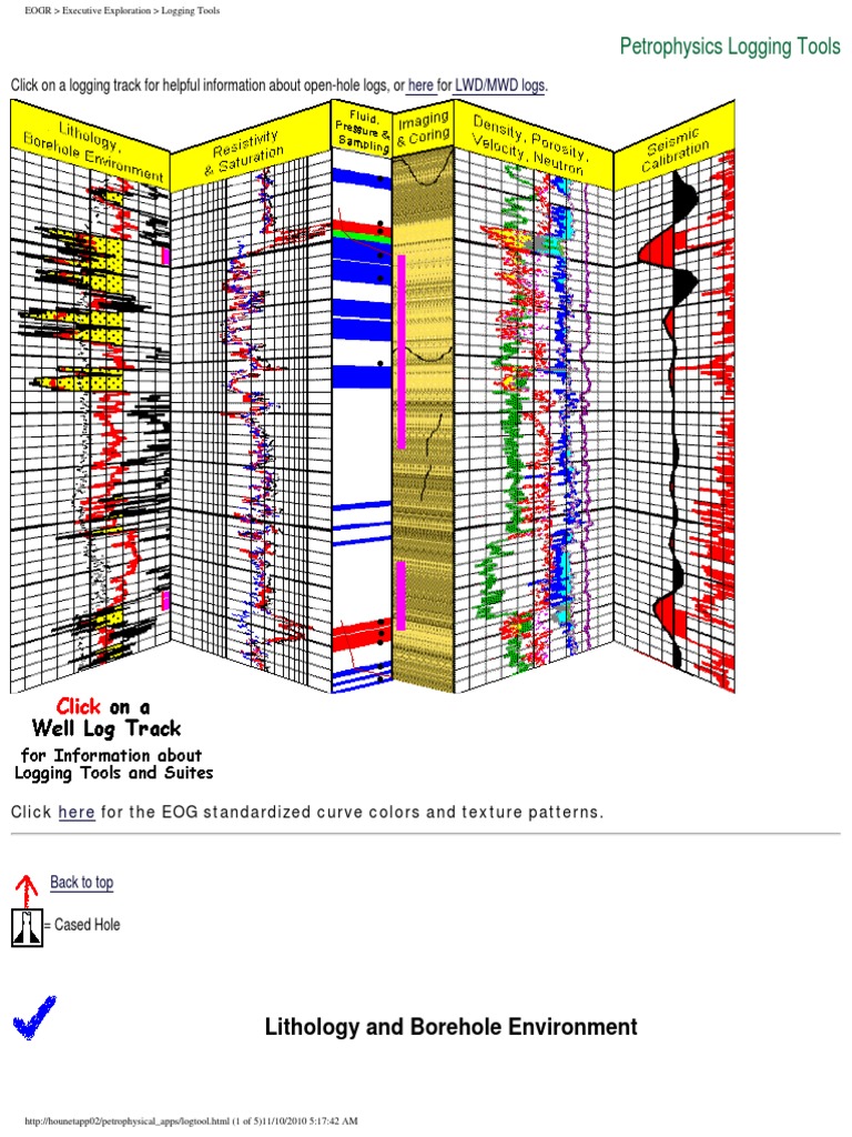 Petrophysics Logging Tools | PDF | Porosity | Chemistry