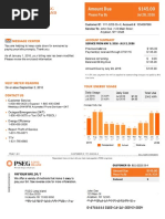 Sample PSEG Bill | PDF