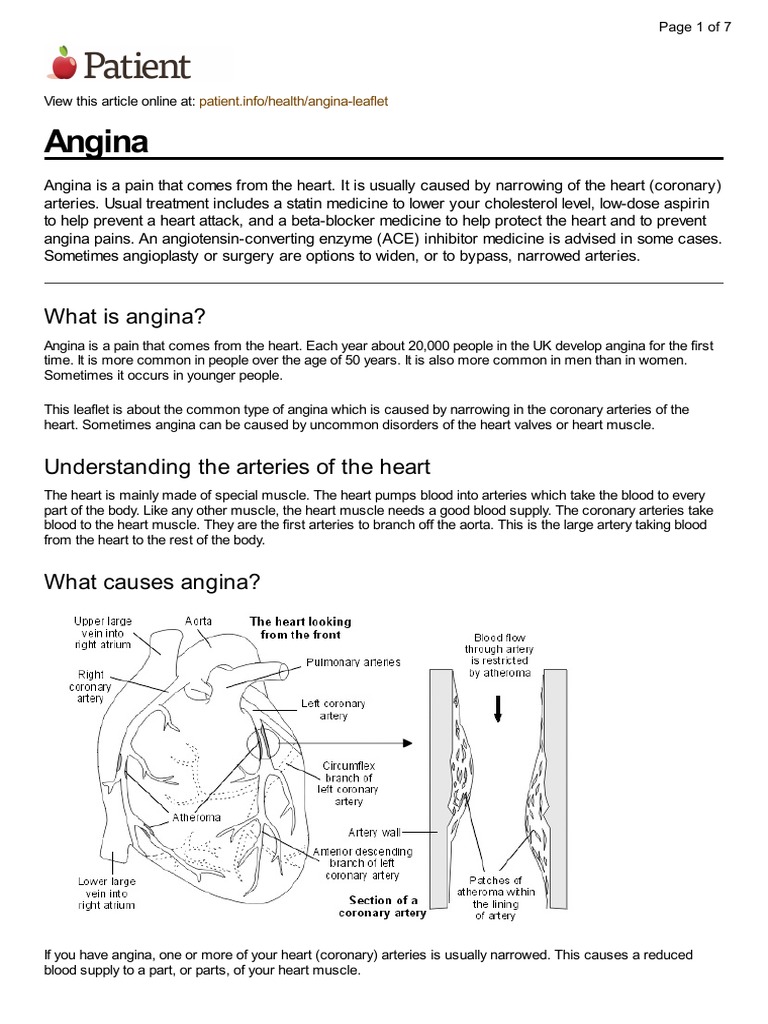 What Is Angina? | PDF | Angina Pectoris | Myocardial Infarction
