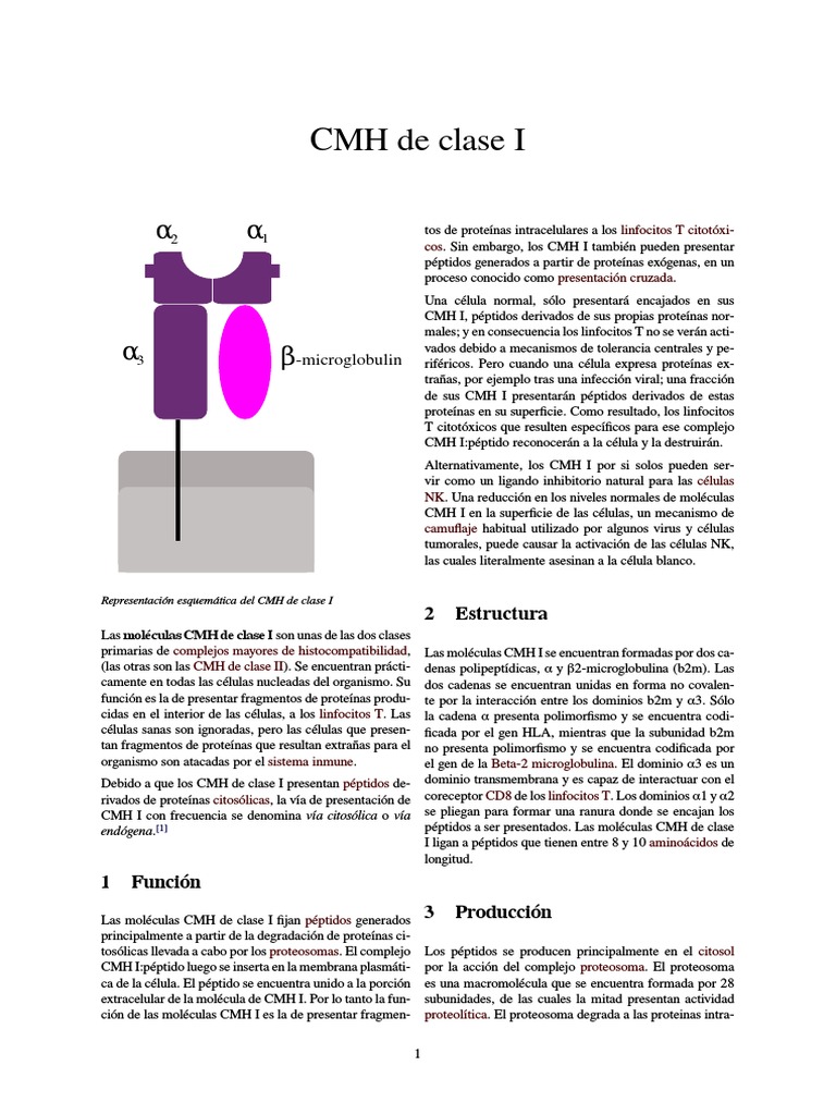CMH 1 Universidad 2 Edicion | PDF | Mhc Clase I | Proteínas