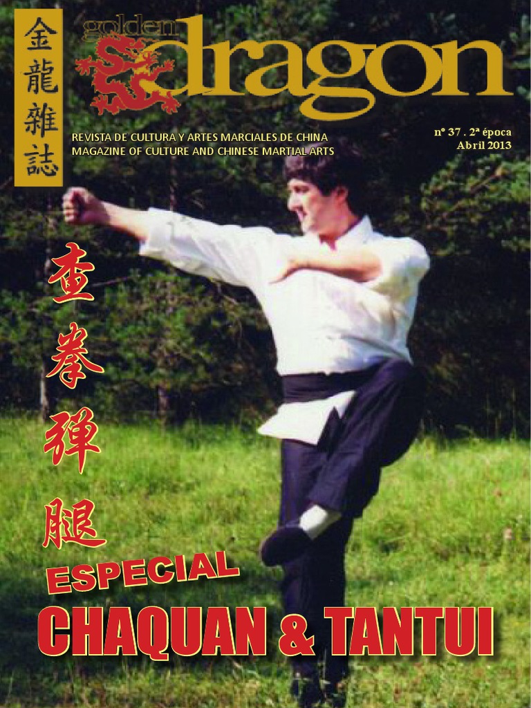 GD 37 Chaquan & Tantui | PDF | Monasterio Shaolin | China