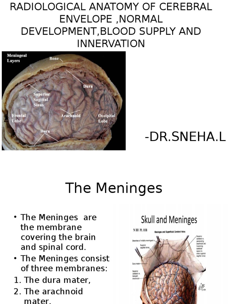 Radiology Meninges Ppt | Neurology | Central Nervous System