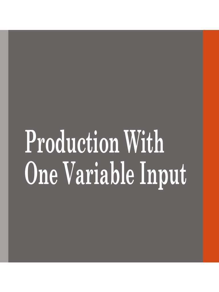 Production With One Input - Chapter 1 PDF | Download Free PDF ...