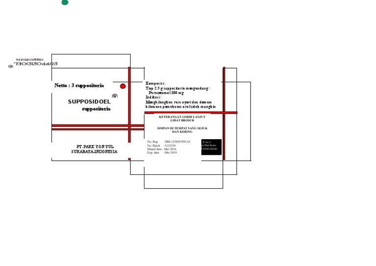 Kemasan Sekunder | PDF