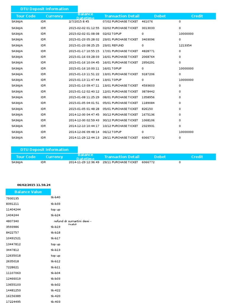 DTU Deposit Information Tour Code Currency Balance Datetime Transaction ...
