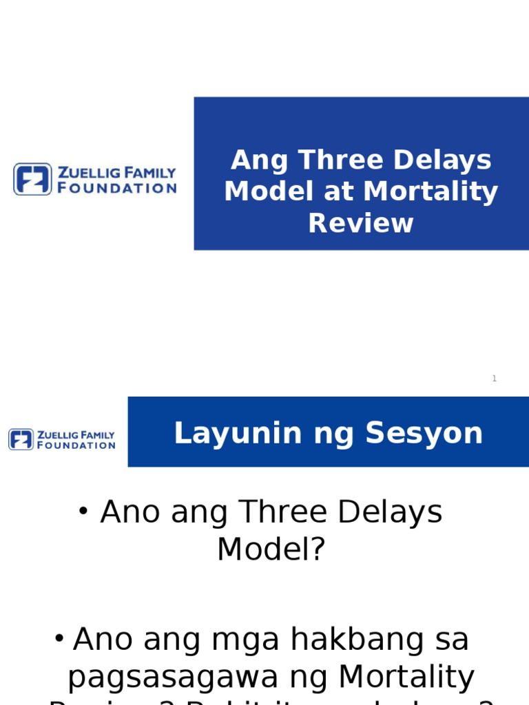 7 The 3 Delays Model at Mortality Review | PDF