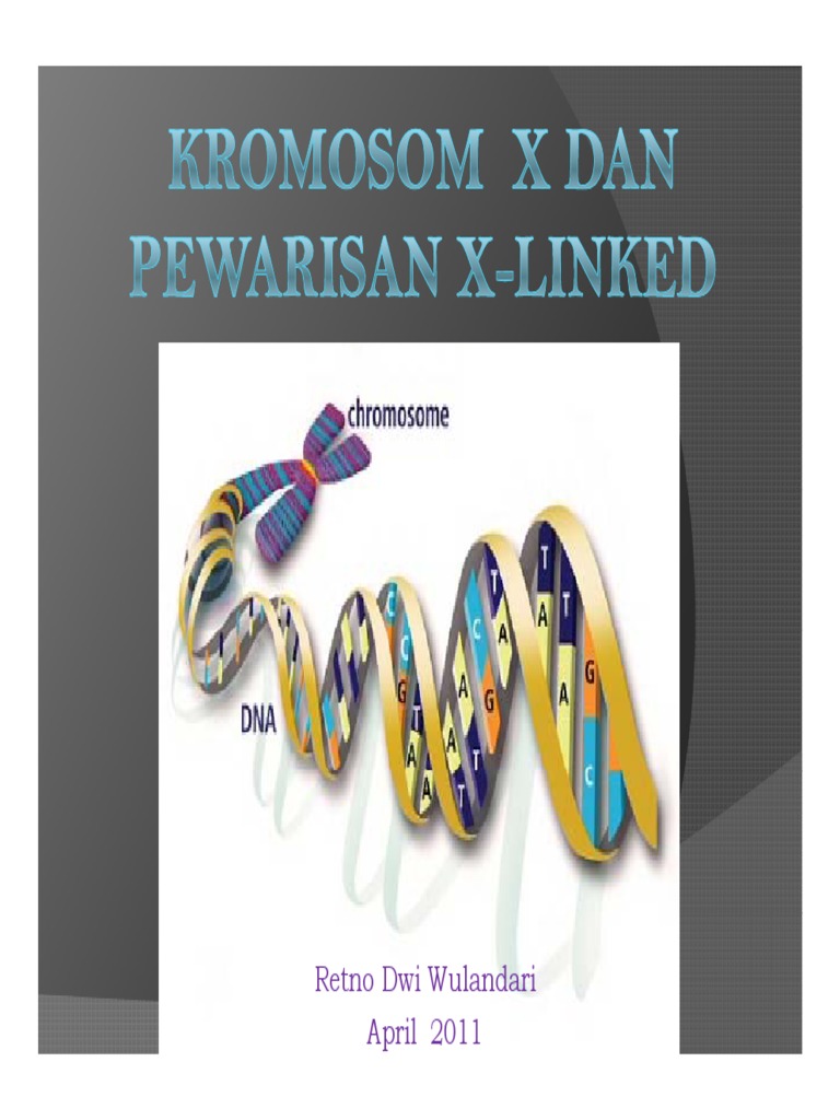 X Linked Resesif | PDF