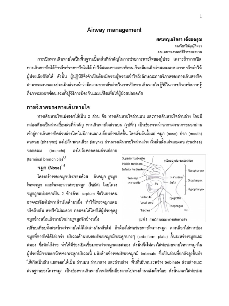 Airway Management PDF | PDF