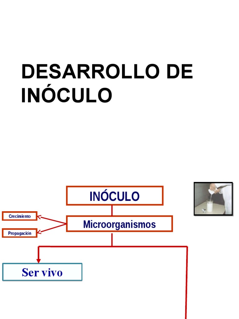 Desarrollo de Inoculo - MICROBIOLOGÍA UNT | PDF | Biotecnología | Biogás