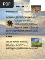 Características y formación de desiertos | PDF | Desierto | Tierra
