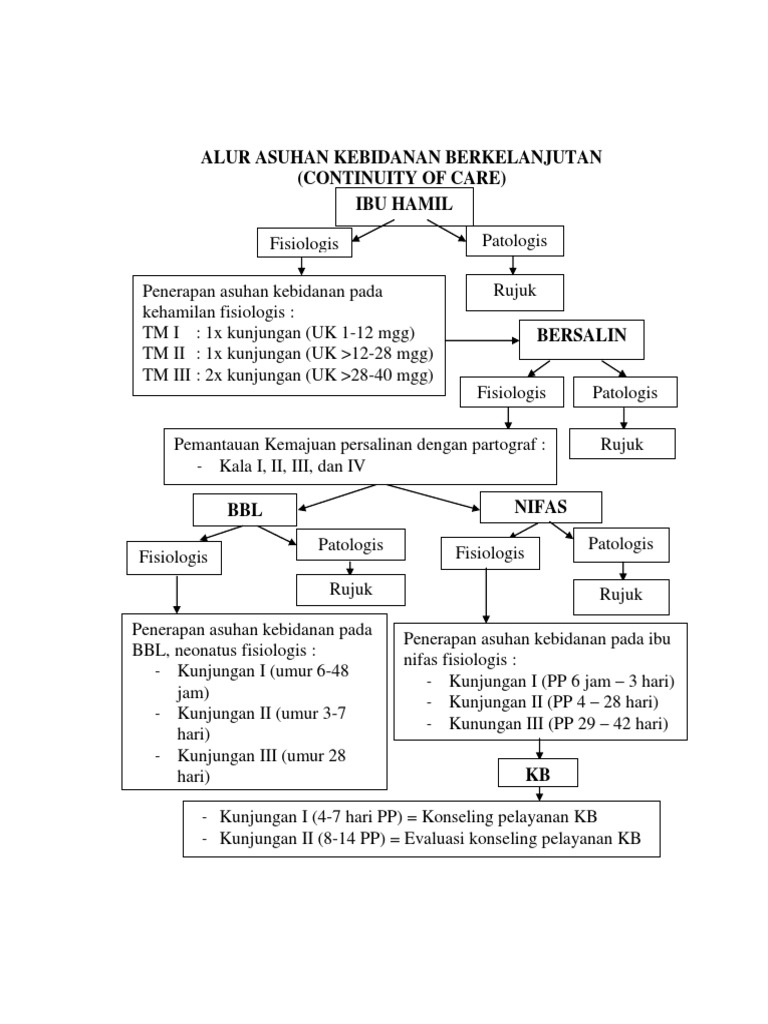 Alur Asuhan Kebidanan Berkelanjutan | PDF