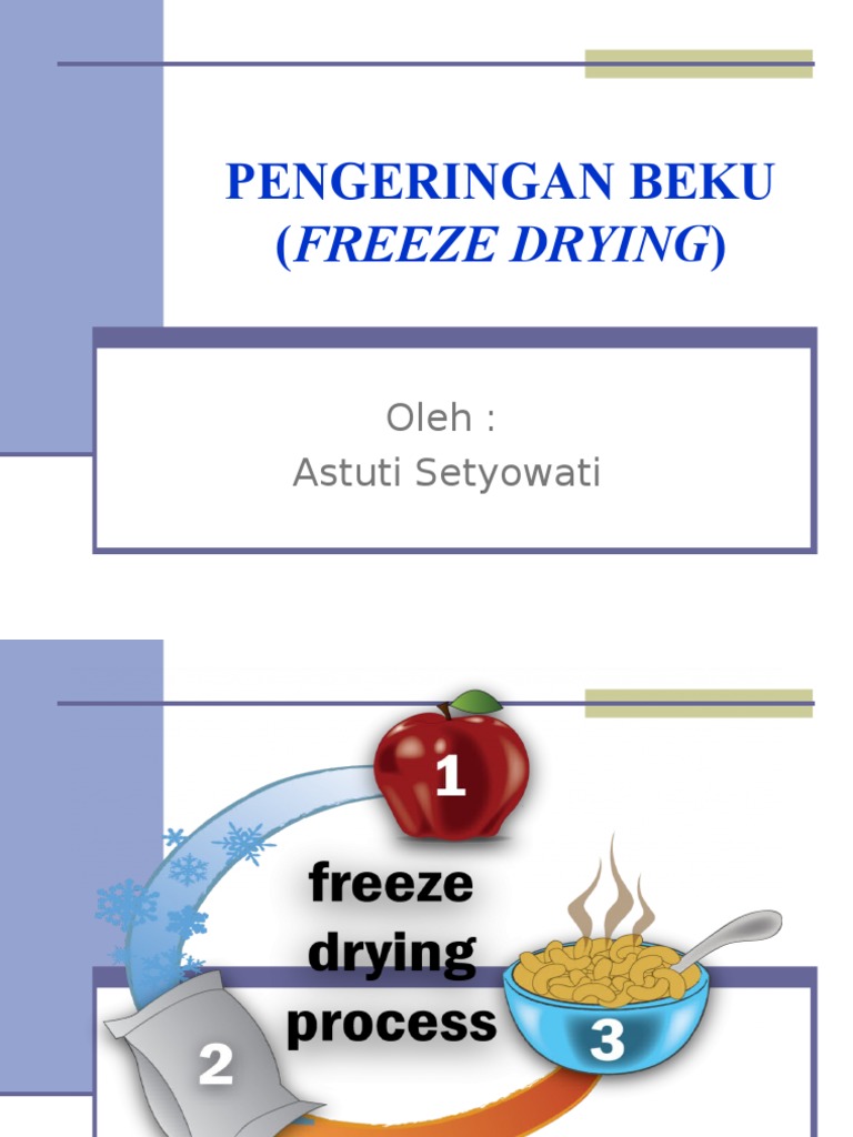 Pengeringan Beku (Freeze Drying) | PDF