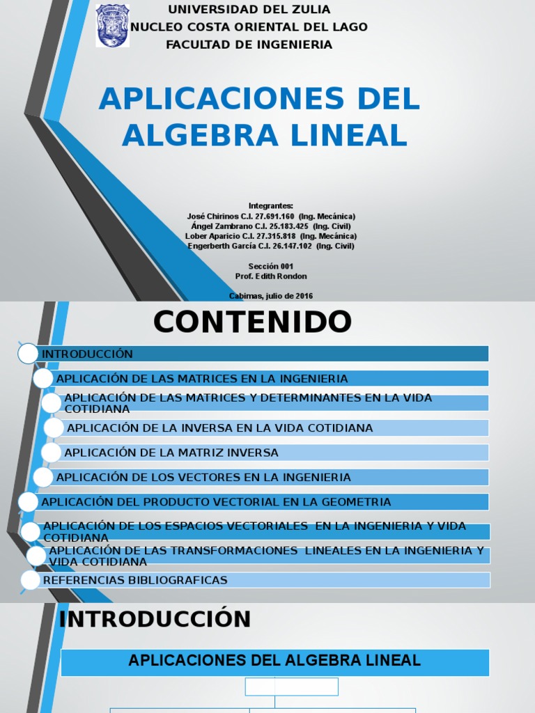 Aplicaciones Del Algebra Lineal | PDF | Matriz (Matemáticas) | Vector Euclidiano