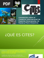 Apéndices de La CITES (General) PDF | PDF | Organismos | Familia