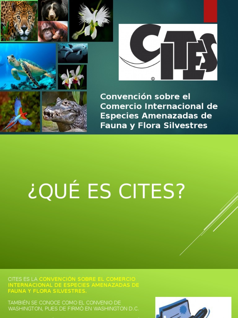 CITES | PDF | Cita | Conservación