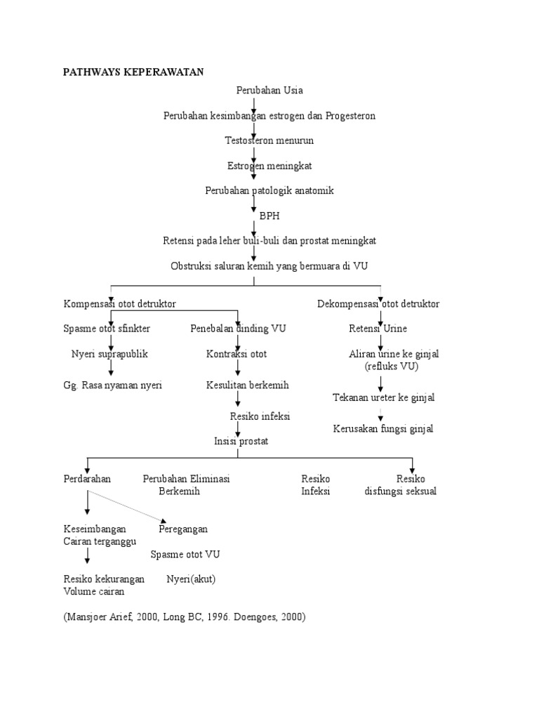 Pathway Keperawatan | PDF
