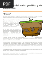 Epipedon y Endopedon | PDF | Arcilla | Suelo