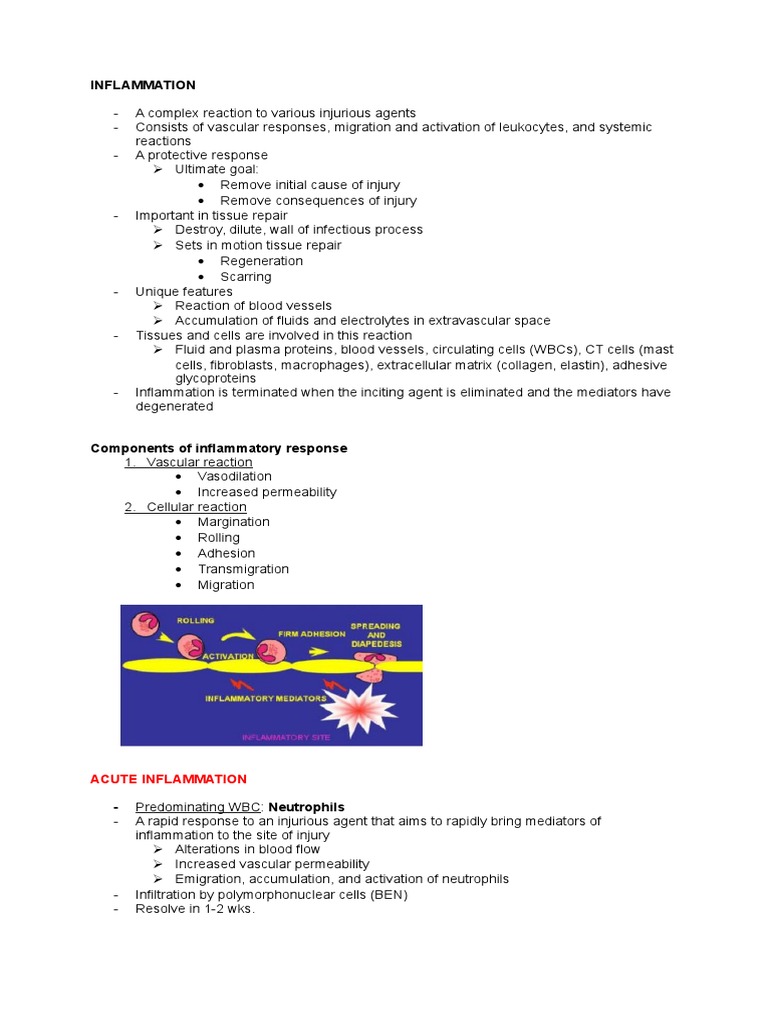 The Comprehensive Guide to Inflammation: Its Mechanisms, Types ...