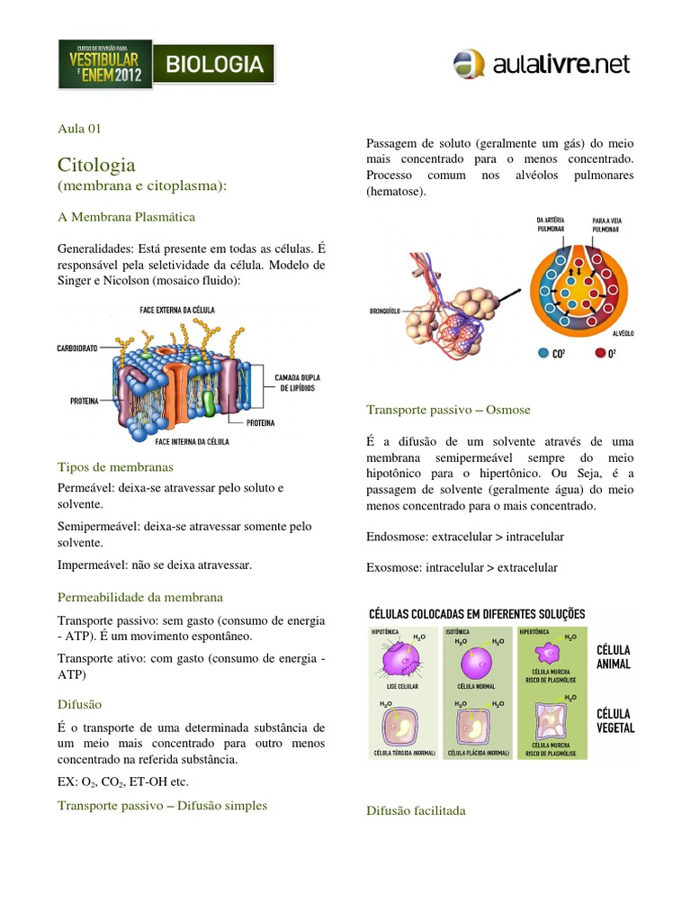Resumo de Citologia para o Enem | Osmose | Membrana Celular