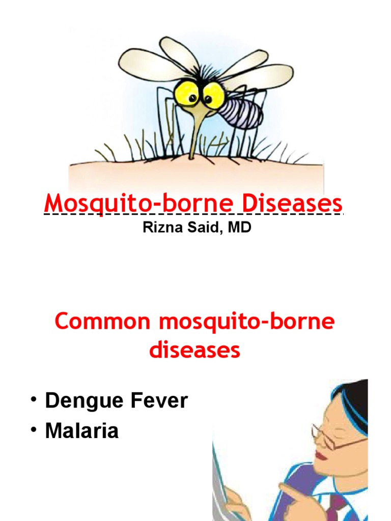Overview of Mosquito-Borne Diseases | PDF | Malaria | Mosquito