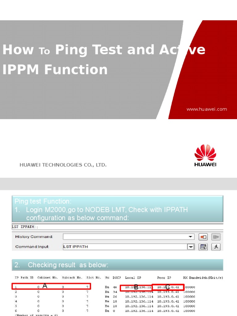 Ping Test and IPPM Guide | PDF