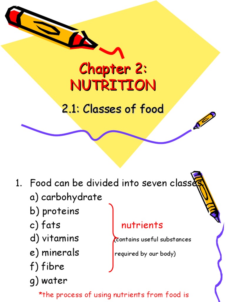 Overview of Food Classes and Functions | PDF