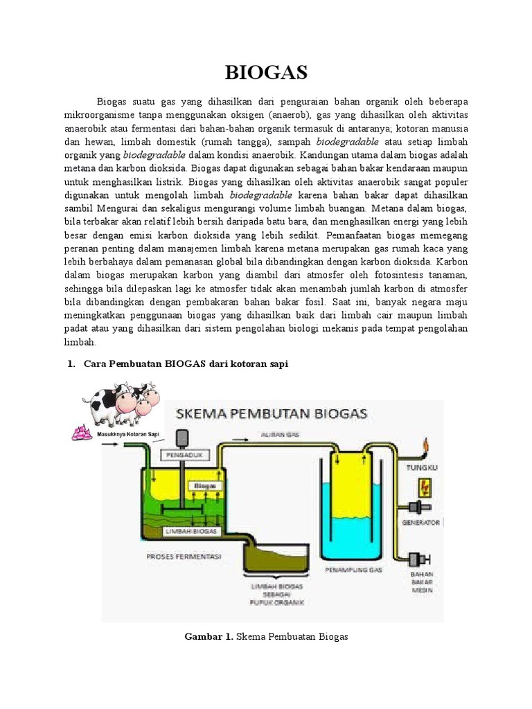 Proses Pembuatan Biogas Kotoran Sapi | PDF