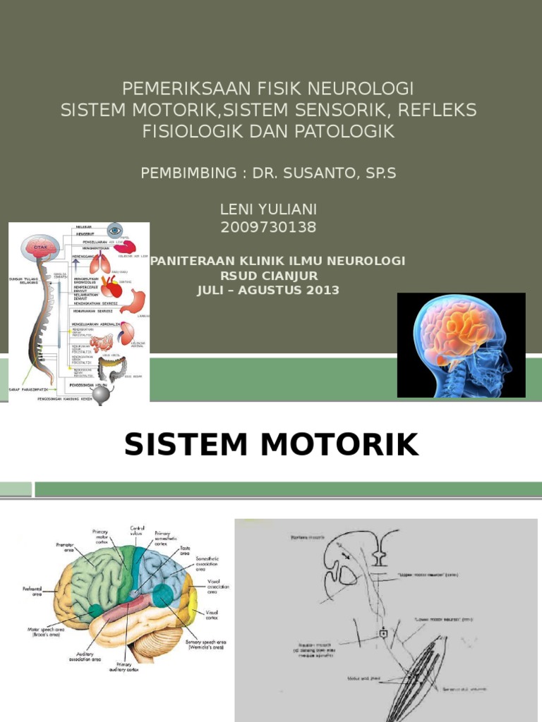Pemeriksaan Motorik, Refleks, Dan Sensorik | PDF