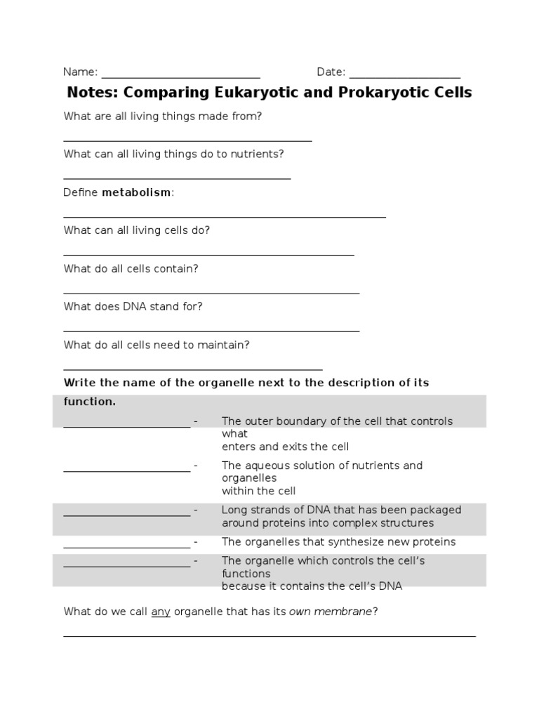 1 Comparing Eukaryotes and Prokaryotes Notes | PDF