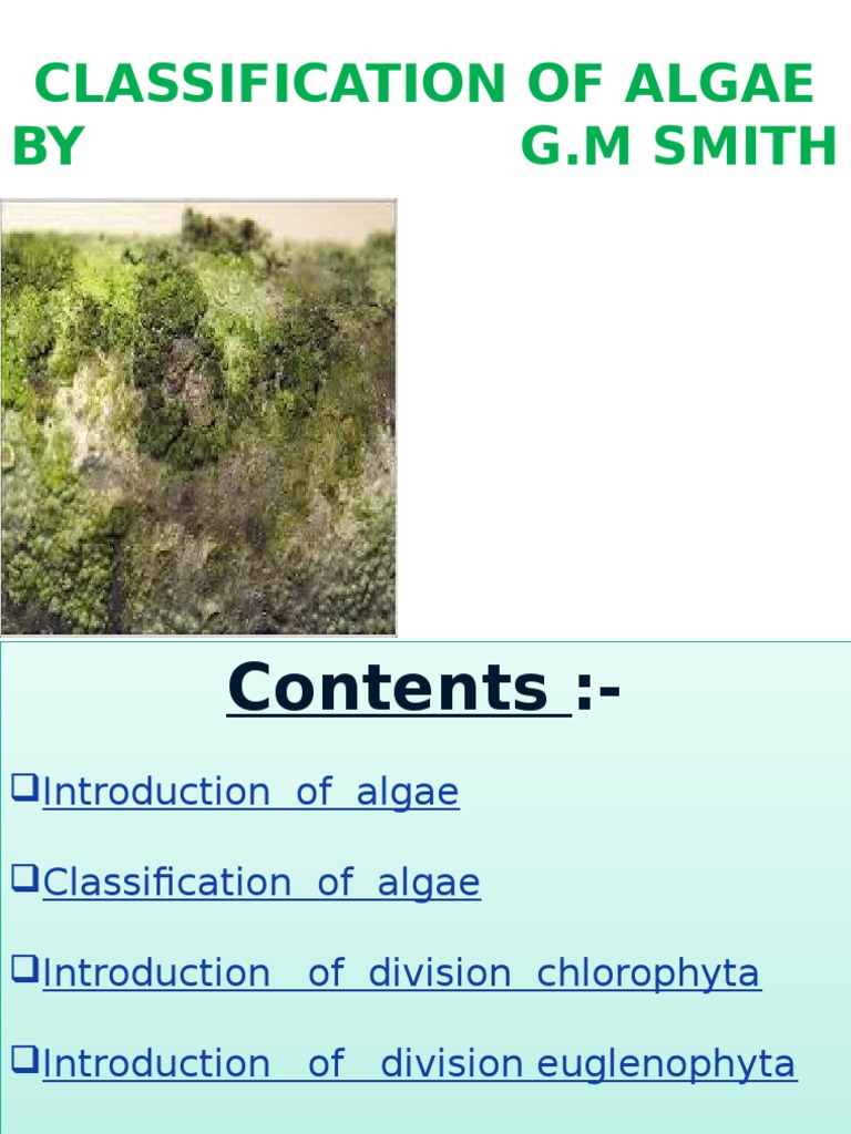 Classification of Algae by G.M Smith | PDF