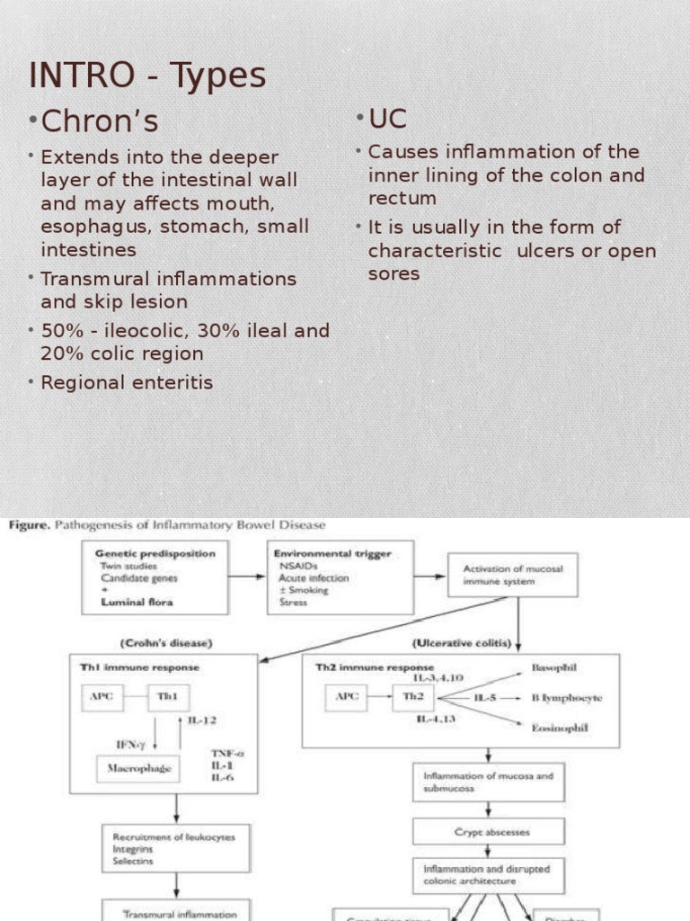 INTRO - Types: Chron's | PDF | Inflammatory Bowel Disease | Crohn's Disease