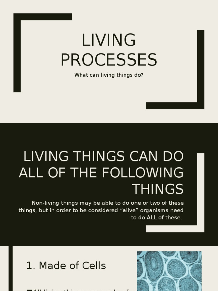 Living Processes Notes | PDF