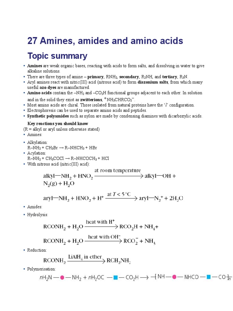 27 - Amines, Amides and Amino Acids | PDF