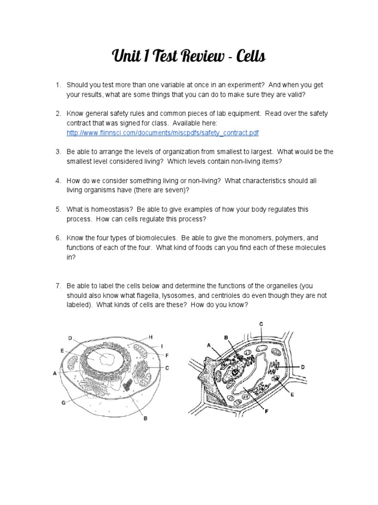Unit 1 Test Review - Cells | PDF | Cellular Respiration | Cell (Biology)
