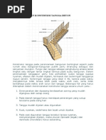 Ukuran Standar Tangga Ideal | PDF