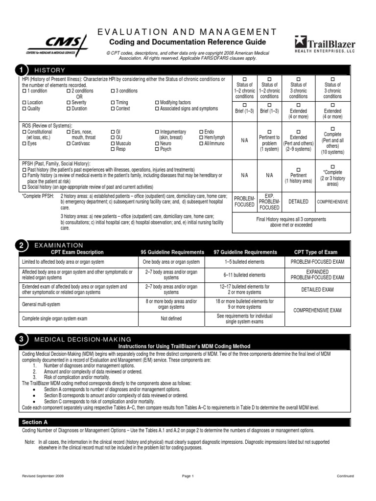 E&M Sheet | PDF | Medical Diagnosis | Therapy